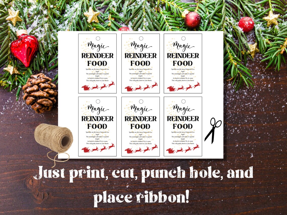 Printable Magic Reindeer Food Tag Instant Download Christmas Eve ...