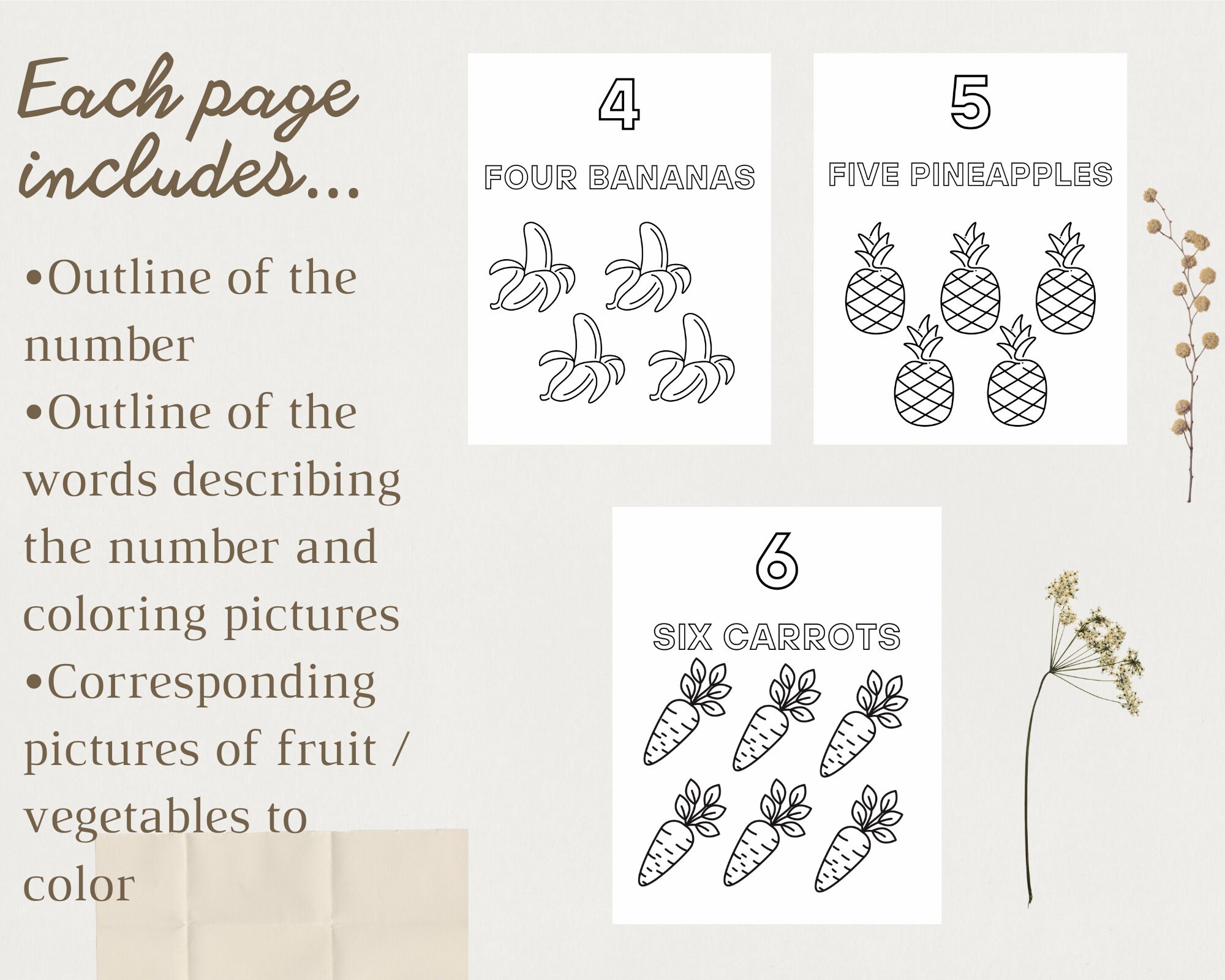 Learning to Count / Printable Coloring Pages - Etsy