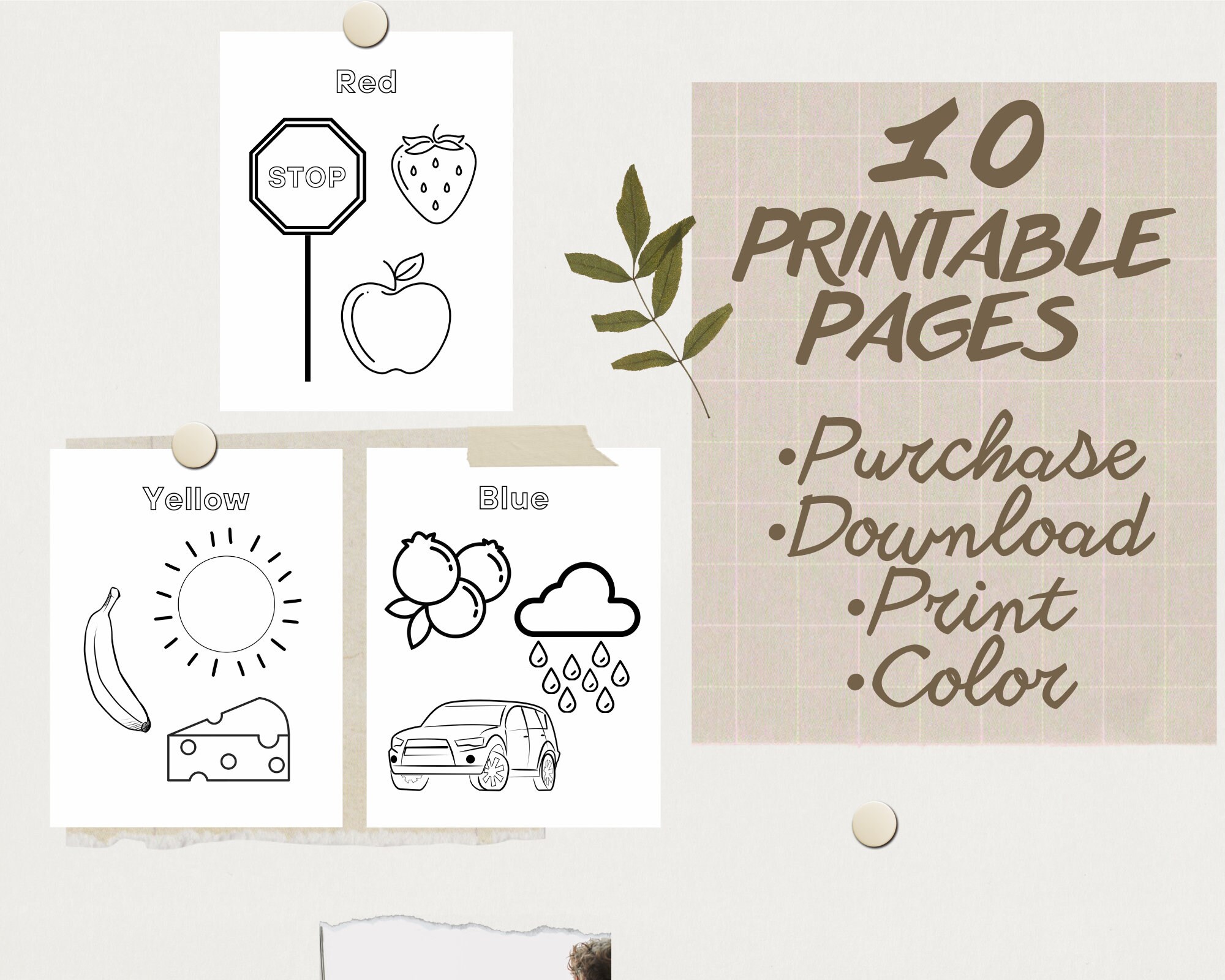 Learning Colors / Printable Coloring Pages - Etsy