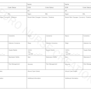 Home Health/hospice Visit Sheet and Report Sheet - Etsy