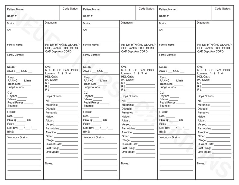 Hospice Inpatient Unit Report Sheet - Etsy