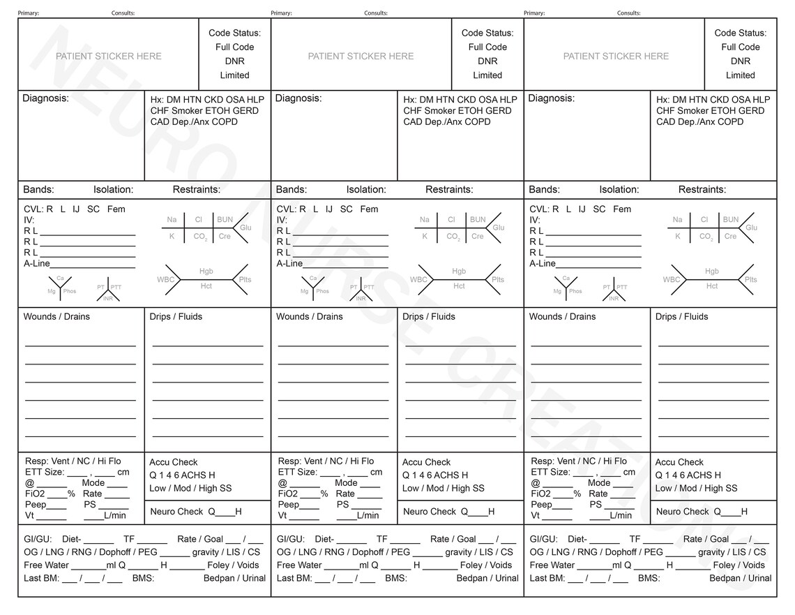 3 Patient ICU/PCU Report Sheet / ICU Brain - Etsy