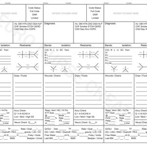 3 Patient ICU/PCU Report Sheet / ICU Brain - Etsy