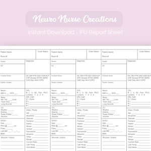 Hospice Inpatient Unit Report Sheet - Etsy
