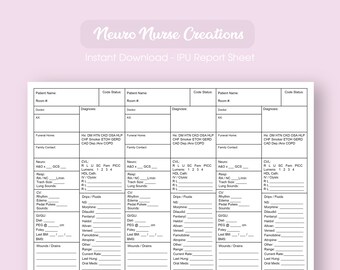 Hospice Report Sheet - Etsy