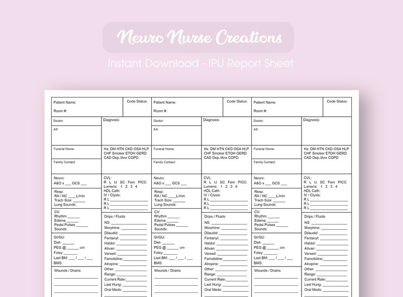 Hospice Inpatient Unit Report Sheet - Etsy