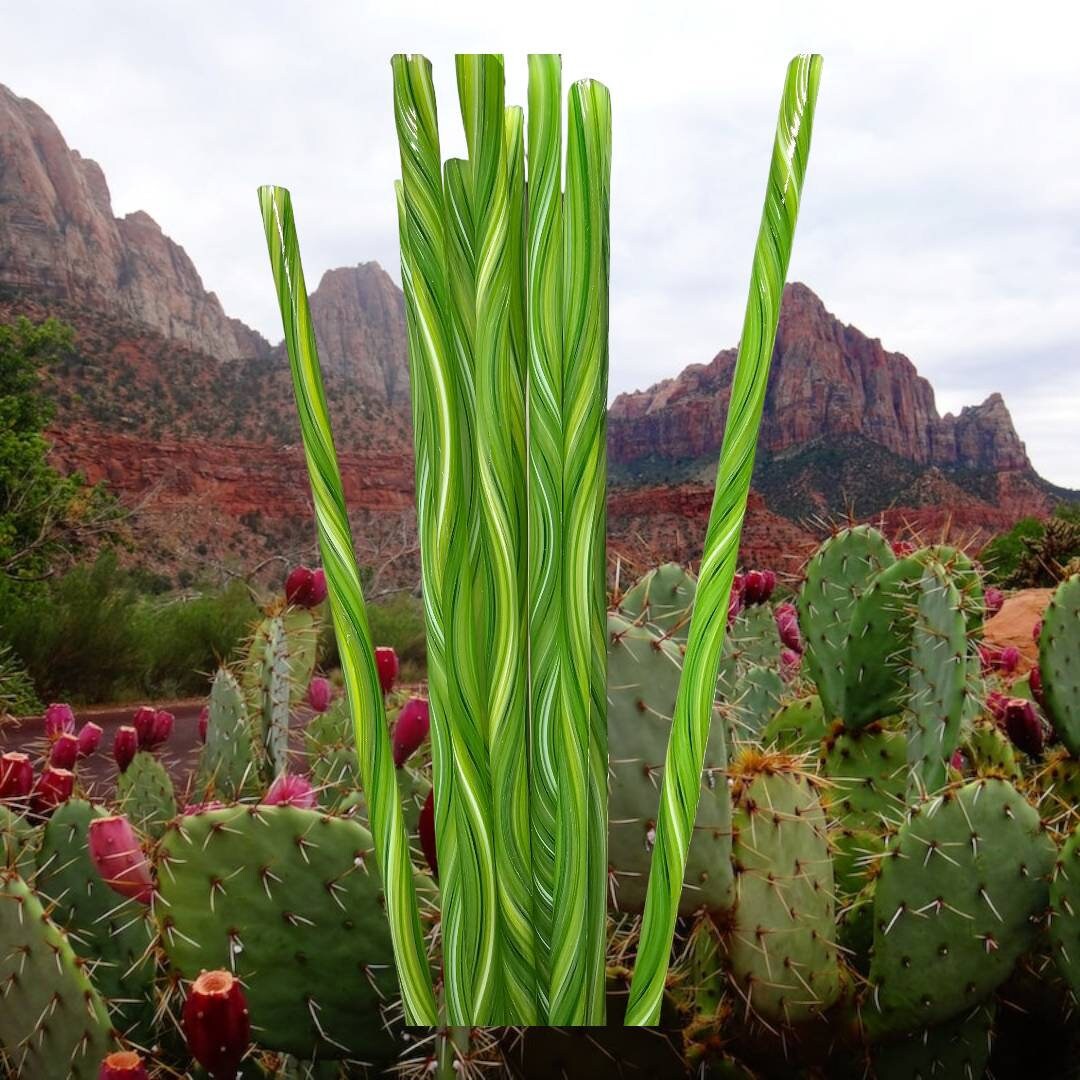 New prickly Pear 96 Coe Twisty Cane - Etsy