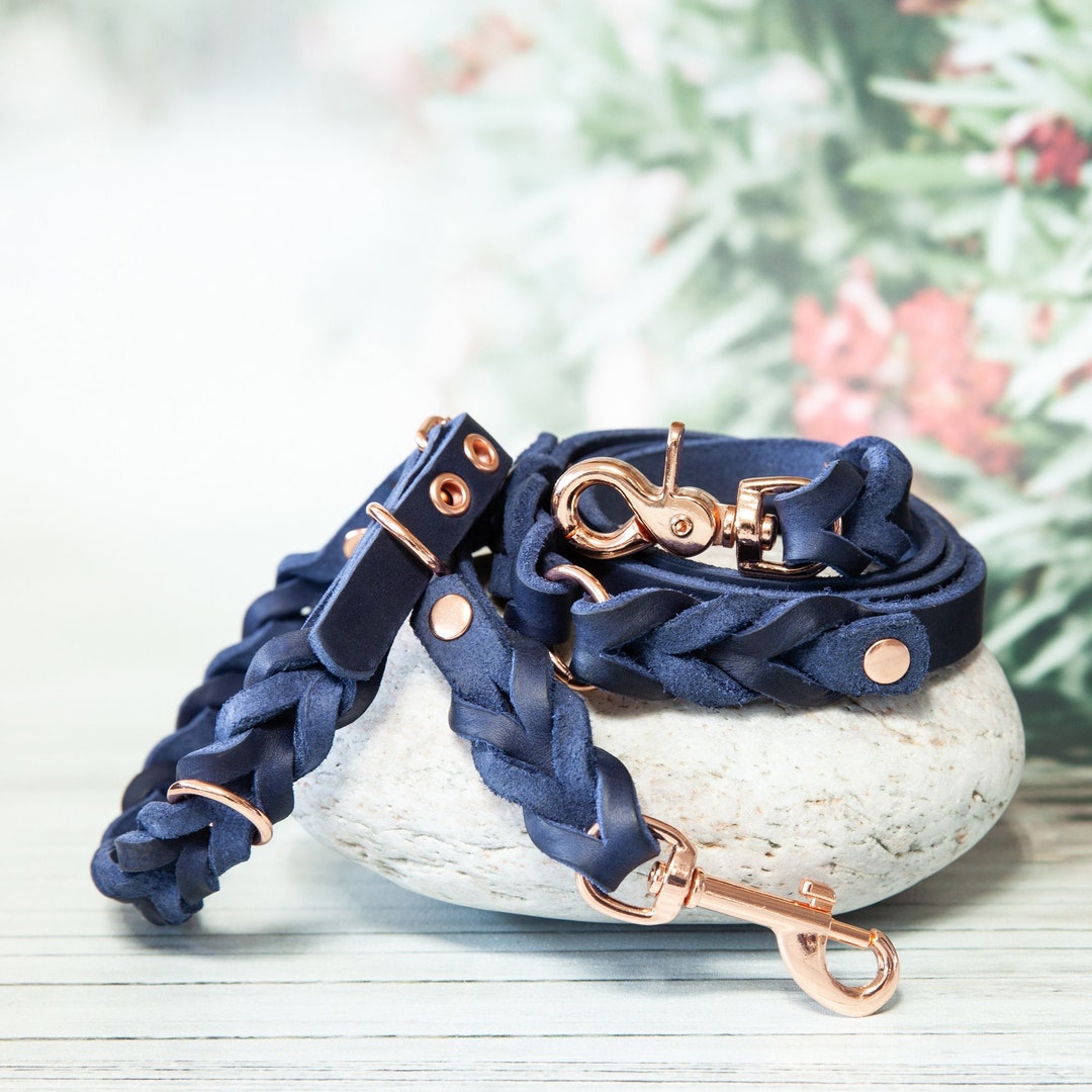 Blue Collar and Leash - Dog Collar Leather, House Dog Collar, Braided ...