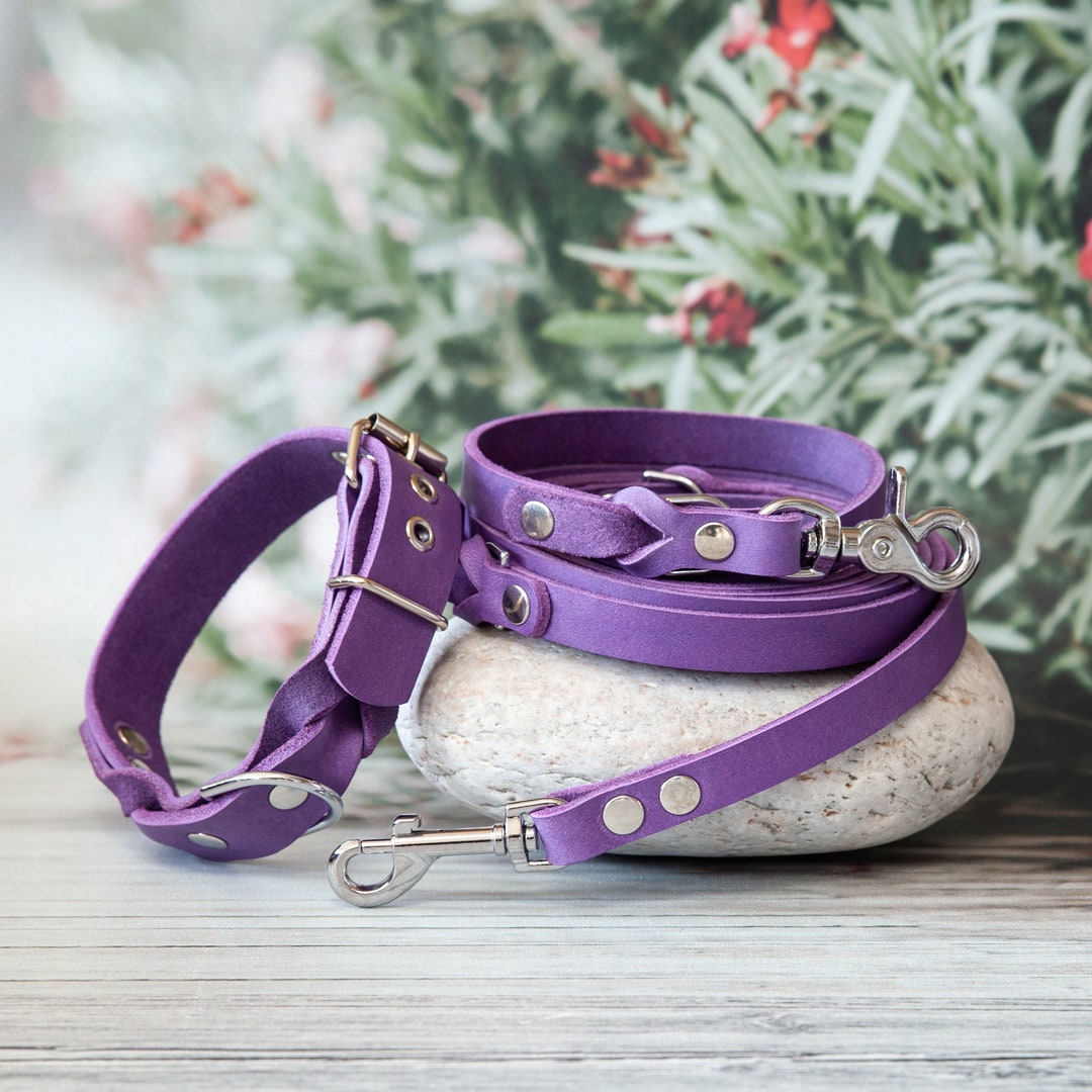 Purple Set of Leather Leash and Dog Collar for Your Furry Friend - Noble Collar Leash Set, Dog ...