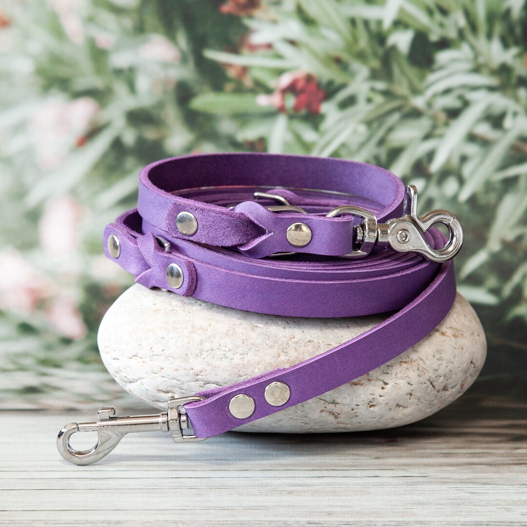 Purple Leather Dog Leash – Leather Leash for Dogs, Stylish Accessory ...