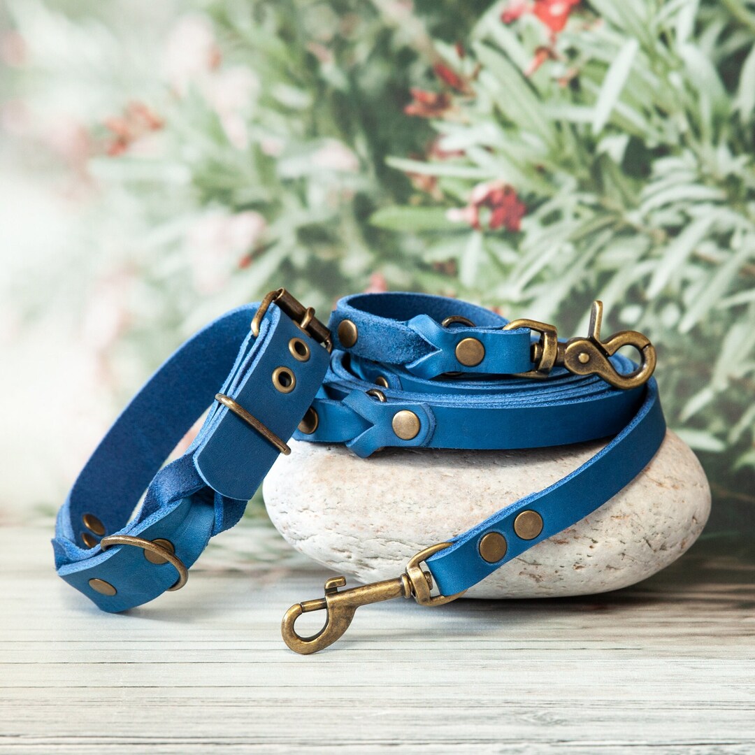 Azure Blue Leather Leash & Dog Collar Set: Handmade for Your Dog Dog ...
