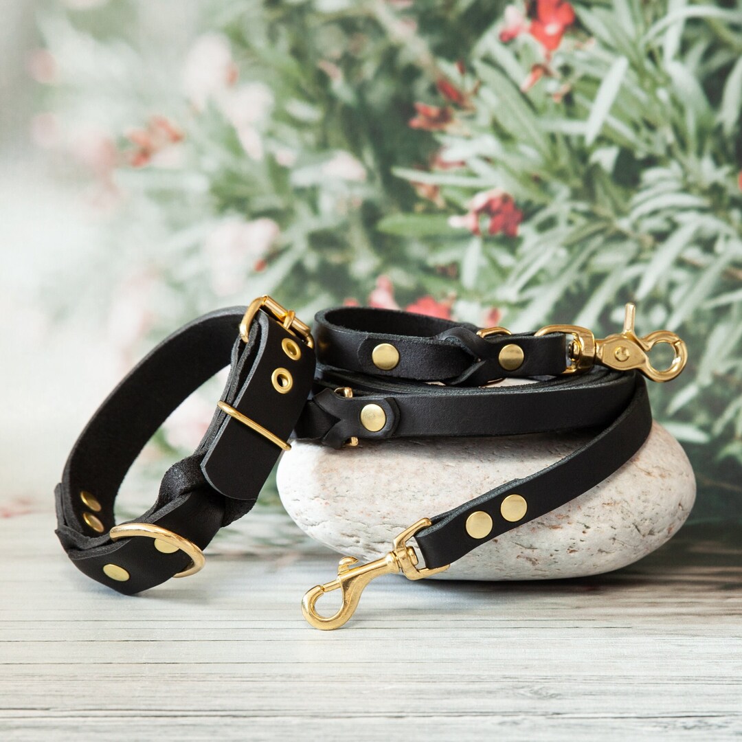 Set of Leather Leash & Collar in Elegant Black for Your Dog Dog Collar ...