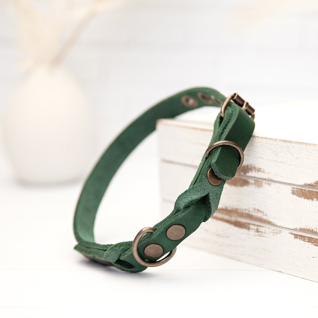 Modern Dog Collar Minimalist Dog Collar, Green Dog Collar, Waxed Dog ...