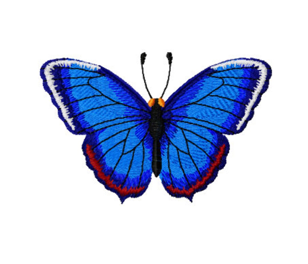 Blue Butterfly - Butterfly Embroidery Design - 3 Sizes - Blue Morph ...