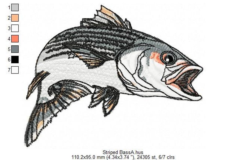 Striped Bass- Machine Embroidery Design, Embroidery Designs, Machine ...