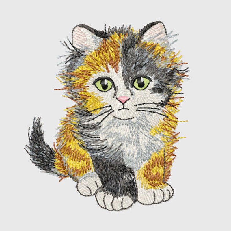 Calico Kitten - Etsy