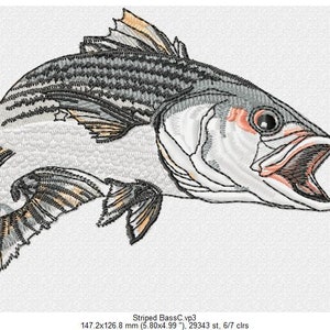 Striped Bass- Machine Embroidery Design, Embroidery Designs, Machine ...