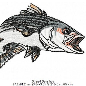 Striped Bass- Machine Embroidery Design, Embroidery Designs, Machine ...
