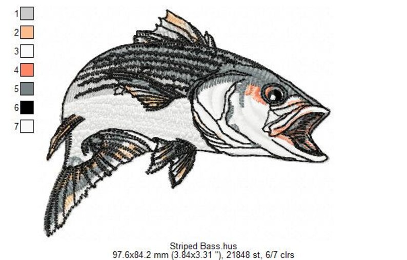 Striped Bass- Machine Embroidery Design, Embroidery Designs, Machine ...