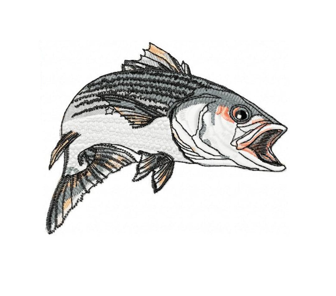 Striped Bass- Machine Embroidery Design, Embroidery Designs, Machine ...
