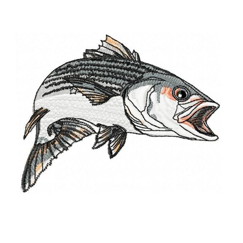 Bass Fishing Machine Embroidery Design Fish Embroidery Designs - Etsy