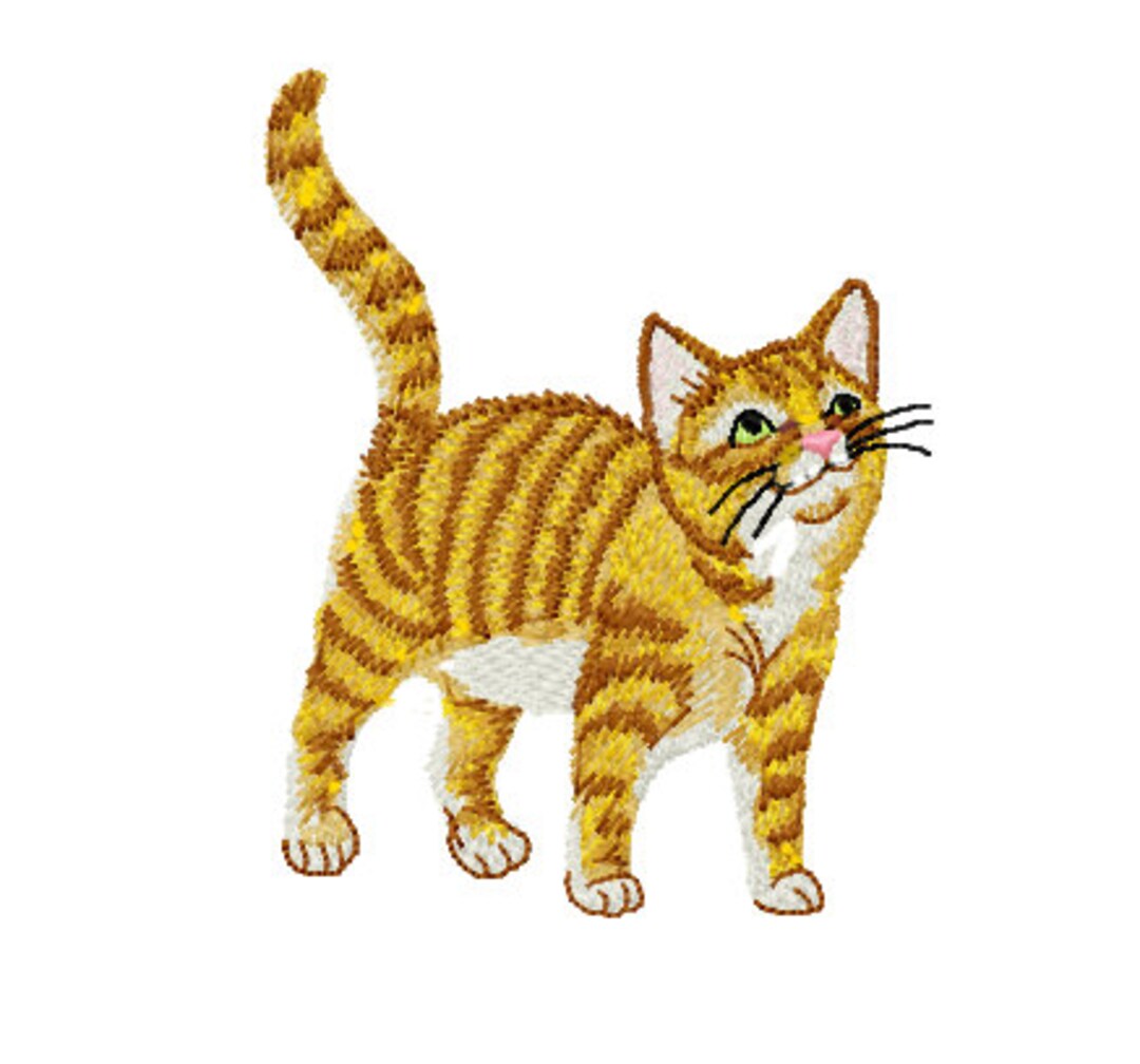 Orange Tabby Cat- Machine Embroidery Design, 5 Sizes, Instant Download ...