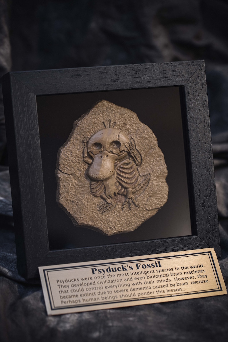 Pokémon, Pikachu Fossil, Psyduck, Bulbasaur, Charmander, Squirtle, Wall ...