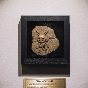 Pokémon, Pikachu Fossil, Psyduck, Bulbasaur, Charmander, Squirtle, Wall ...