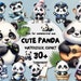 Cute Panda Clipart Bundle, Watercolor Panda PNG, Panda Graphics, Baby ...