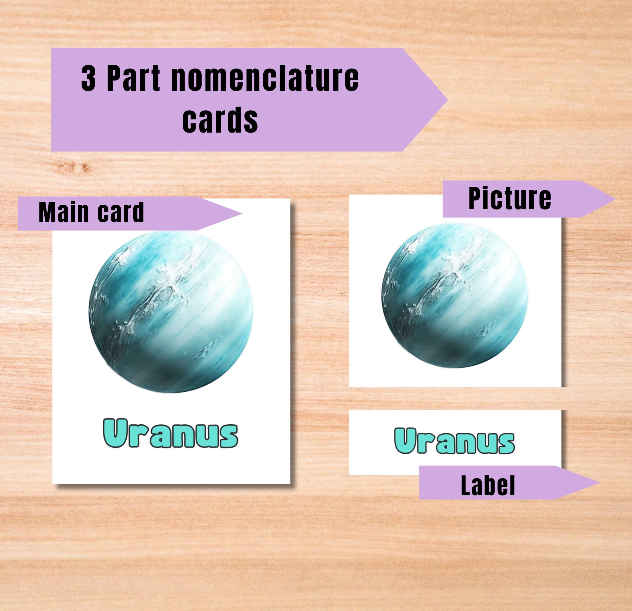 400+ Flashcards Preschool, Montessori Flashcard Bundle, Printable Card ...