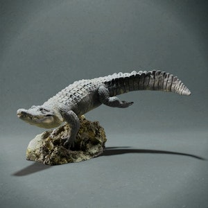 American Alligator Realistic Sculpture Ideal for Your - Etsy