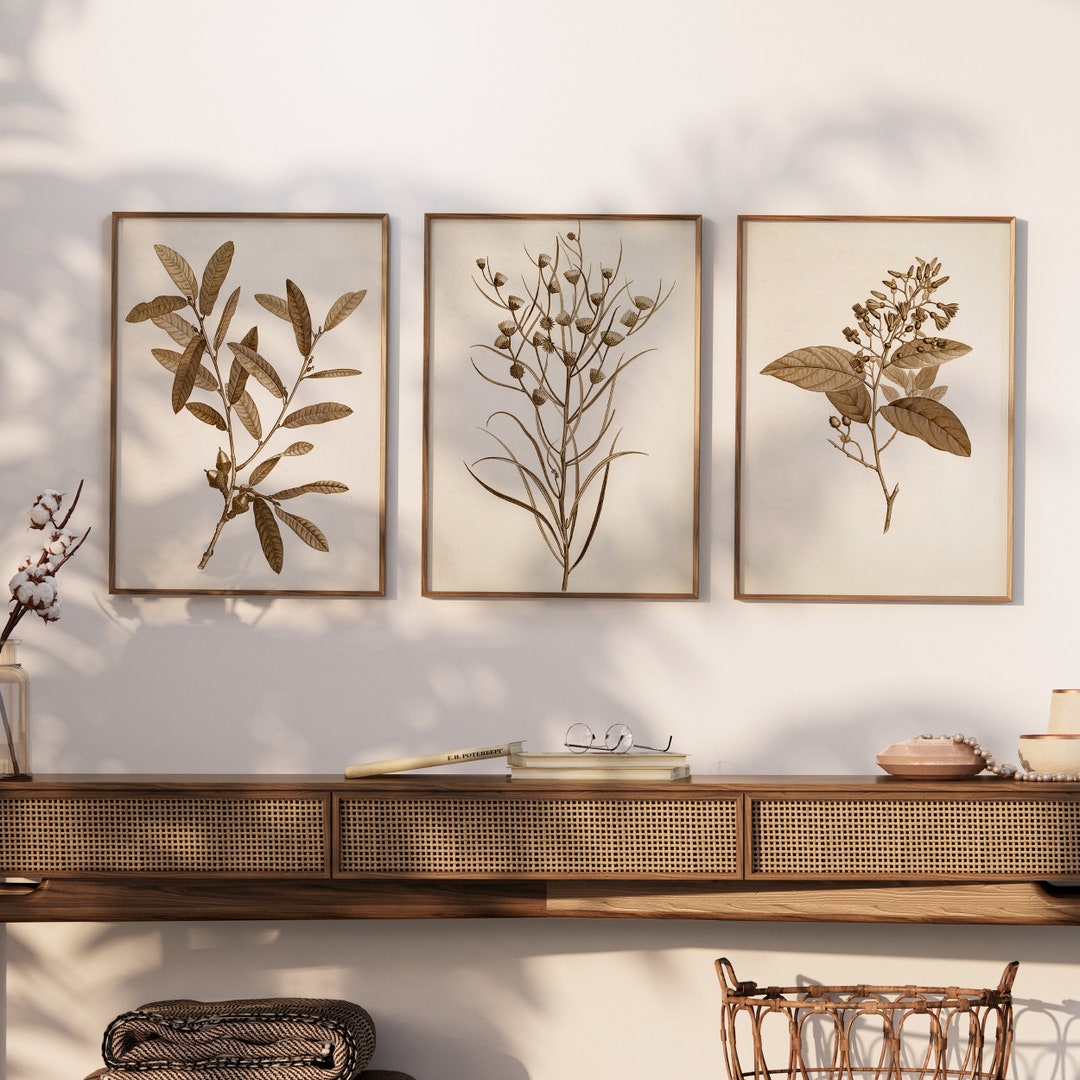 Muted Print, Vintage Botanical Art, Set of 3 Prints, Leaves ...