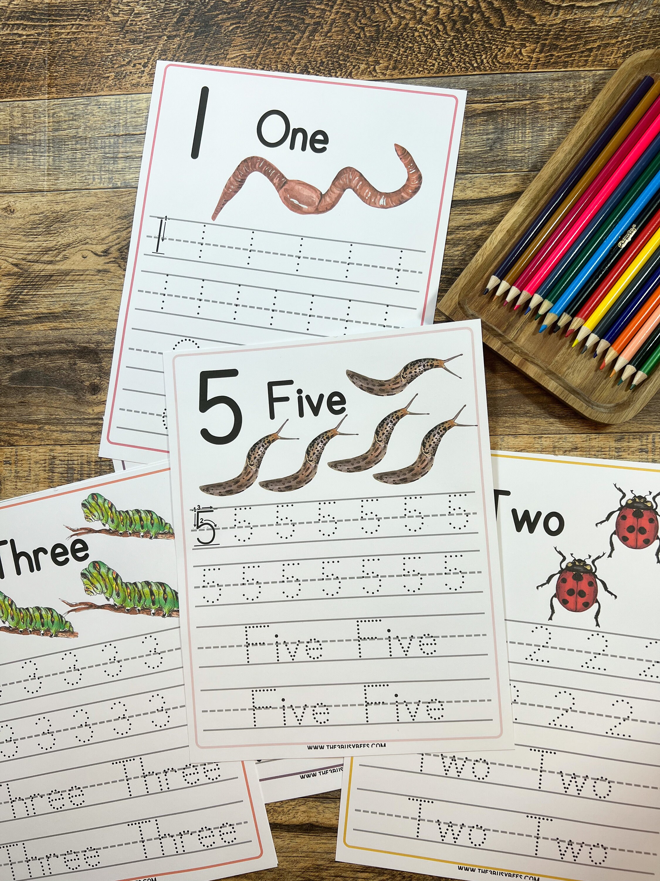 Insect Number Tracing Worksheet Insect Learning Mini Beasts Printable ...