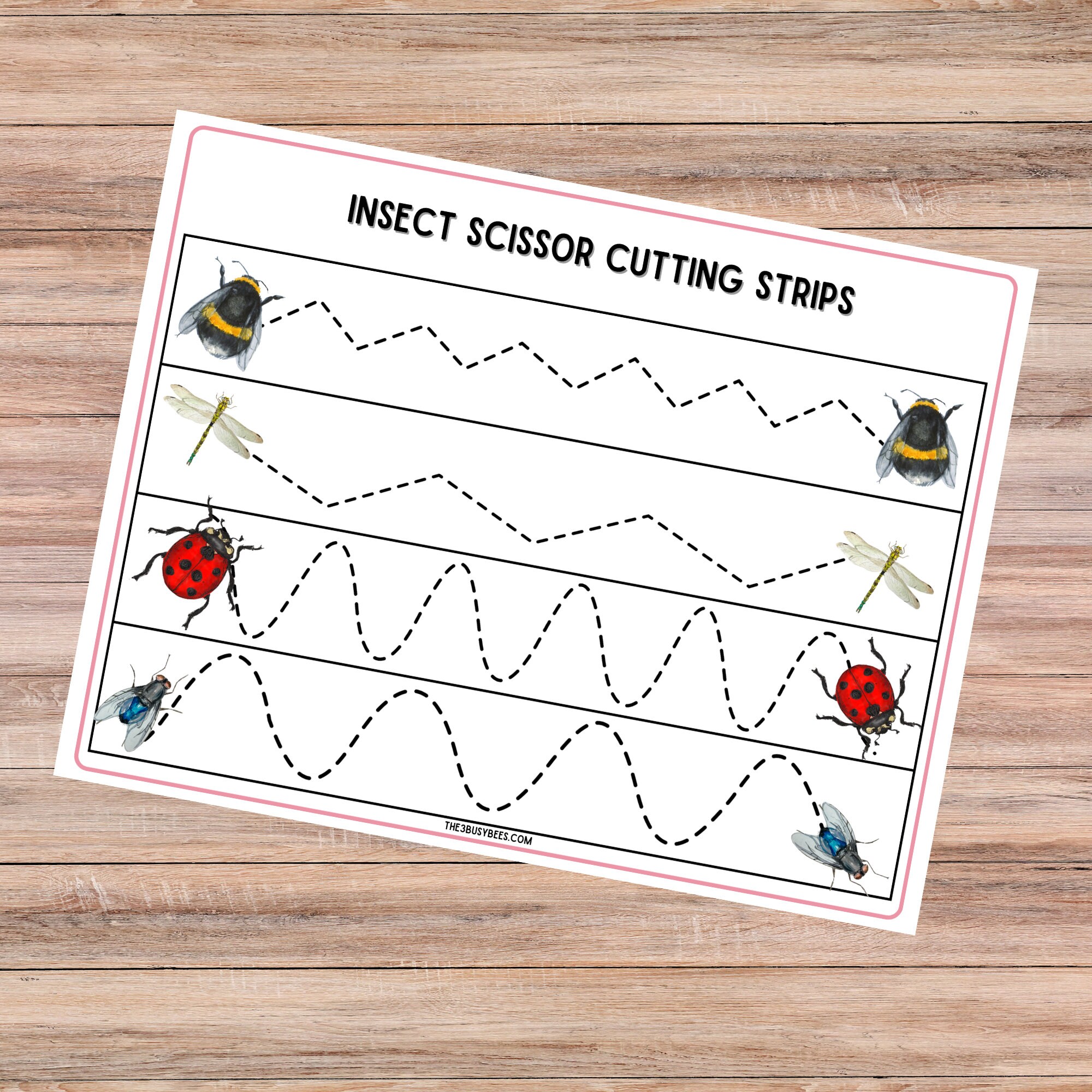 Insect Scissor Cutting Strips • Preschool Scissor Practice • Mini ...