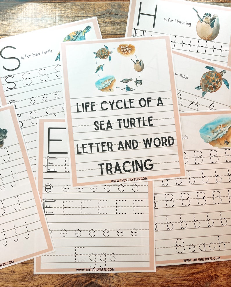 Life Cycle of a Sea Turtle Letter and Word Tracing / Handwriting ...
