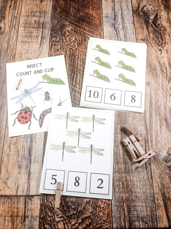 Insect Count and Clip Printable Clothespin Match Activity - Etsy