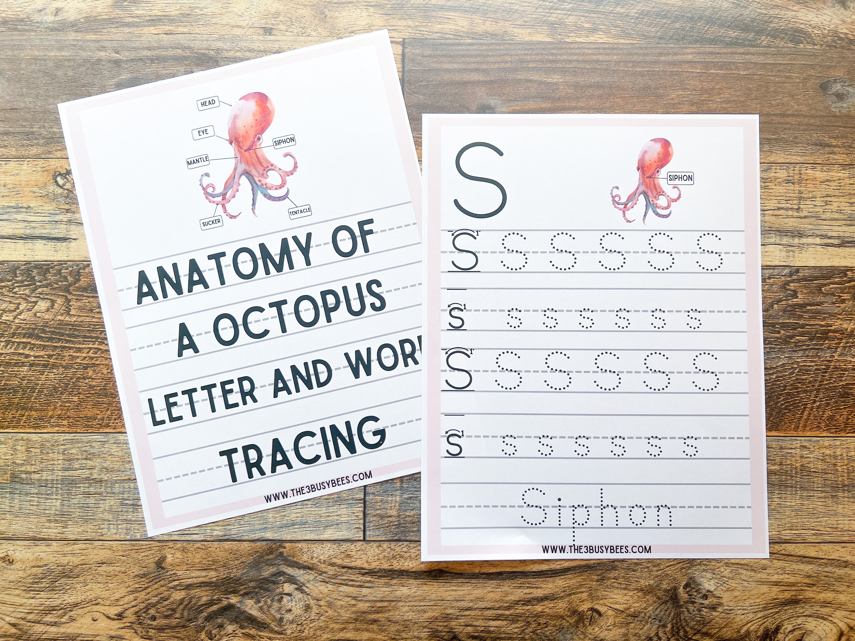 Anatomy of a Octopus Letter and Word Tracing - Etsy
