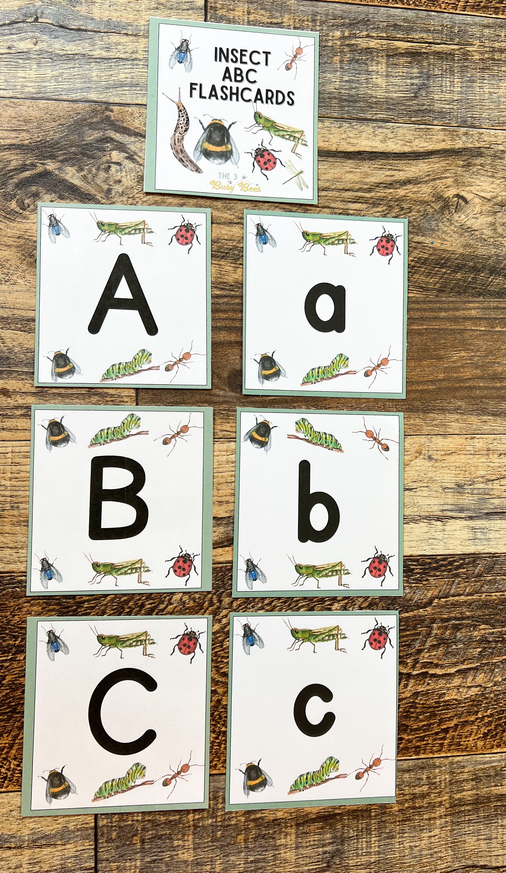 Insect ABC Flash Cards // Insect Bundle // Letter Learning - Etsy