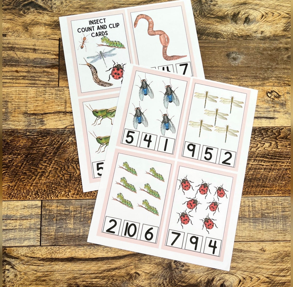 Insect Count and Clip Printable • Clothespin Match Activity - Etsy