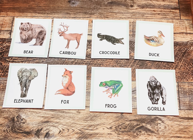 Animal Flash Cards • Montessori Printable • Educational Material • - Etsy
