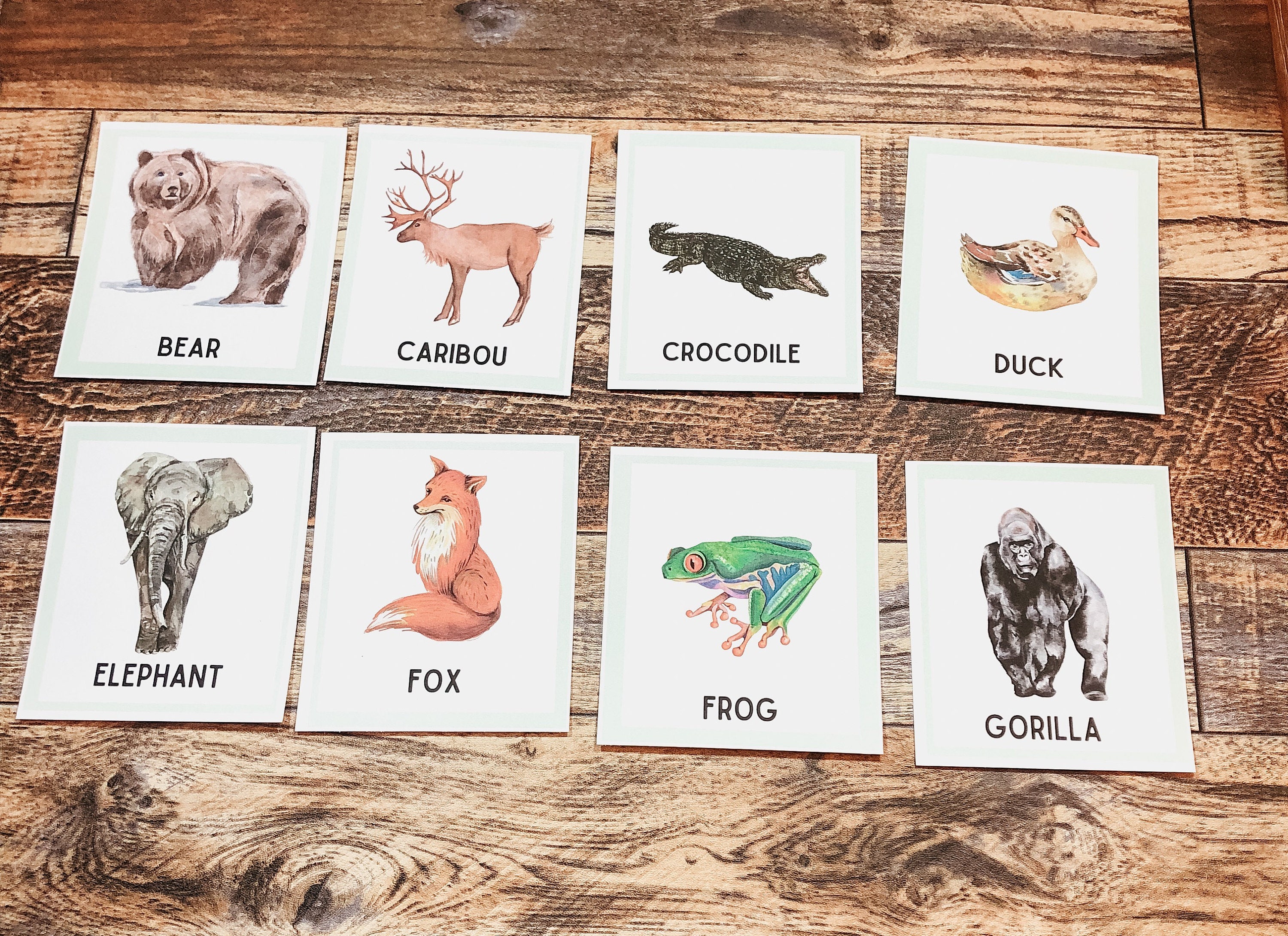 Animal Flash Cards Montessori Printable Educational Material - Etsy