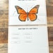 Anatomy of a Butterfly • Montessori Printable • Butterfly Study • Busy ...