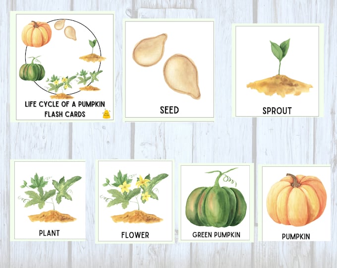 Noahs Ark Animal Matching Printable • Montessori Printable ...