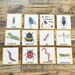 Insect Flash Cards • Montessori Printable • Educational Material • - Etsy