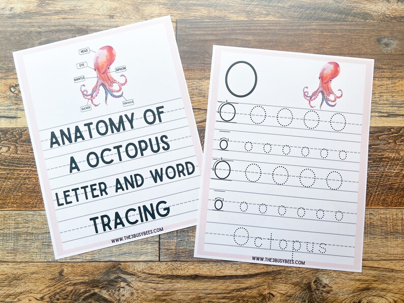 Anatomy of a Octopus Letter and Word Tracing - Etsy