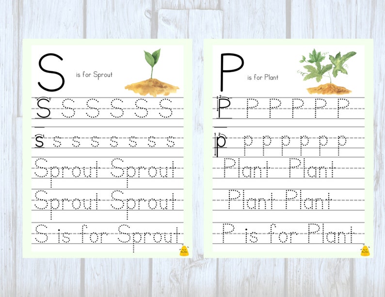 Life Cycle of a Pumpkin Letter and Word Tracing Worksheets / - Etsy