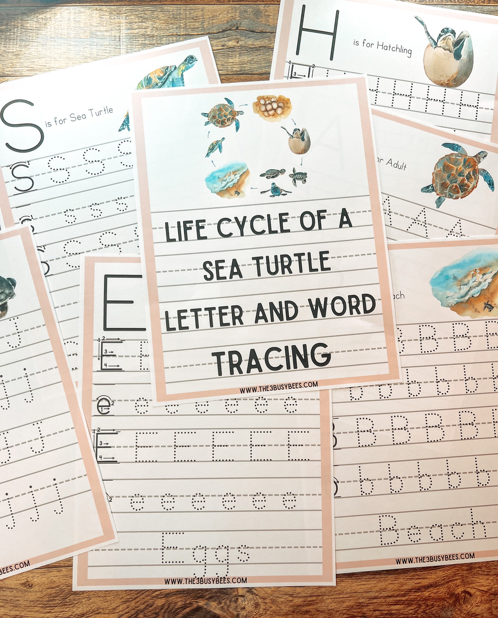 Life Cycle of a Sea Turtle Letter and Word Tracing / Handwriting ...
