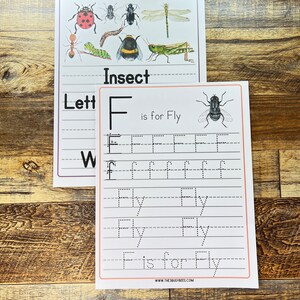 Insect Letter Tracing Worksheet • Insect Learning • Mini Beasts ...