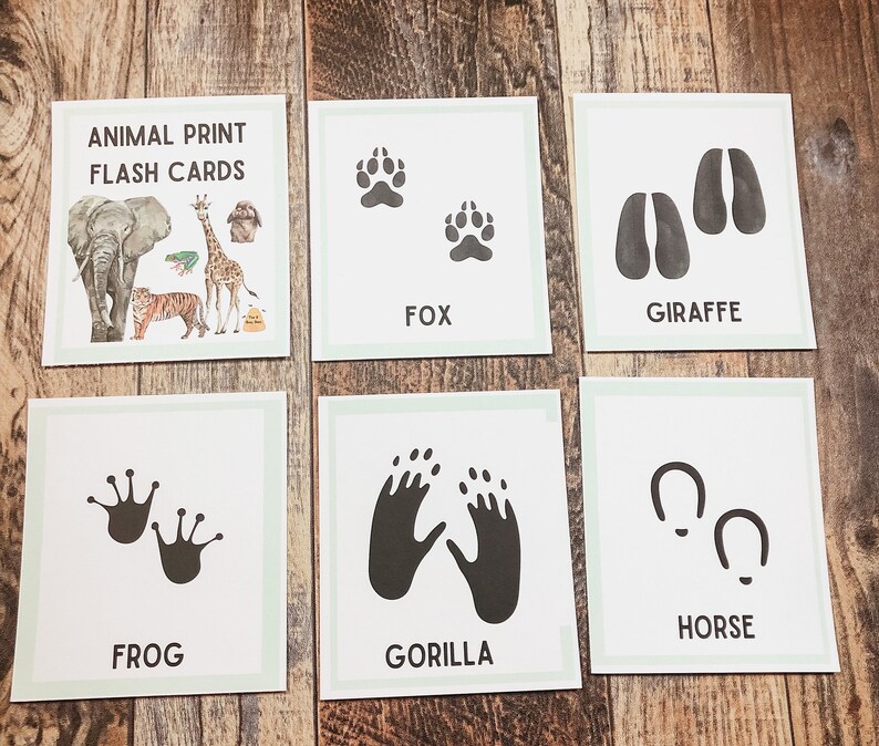 Animal Print Flash Cards • Montessori Printable • Educational Material ...