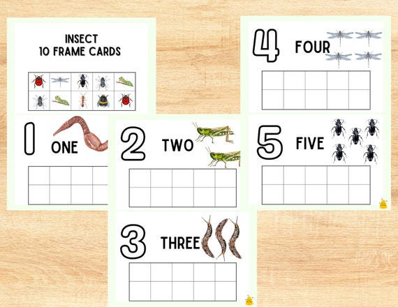 Insect 10 Frame Cards Insect Learning Mini Beasts - Etsy